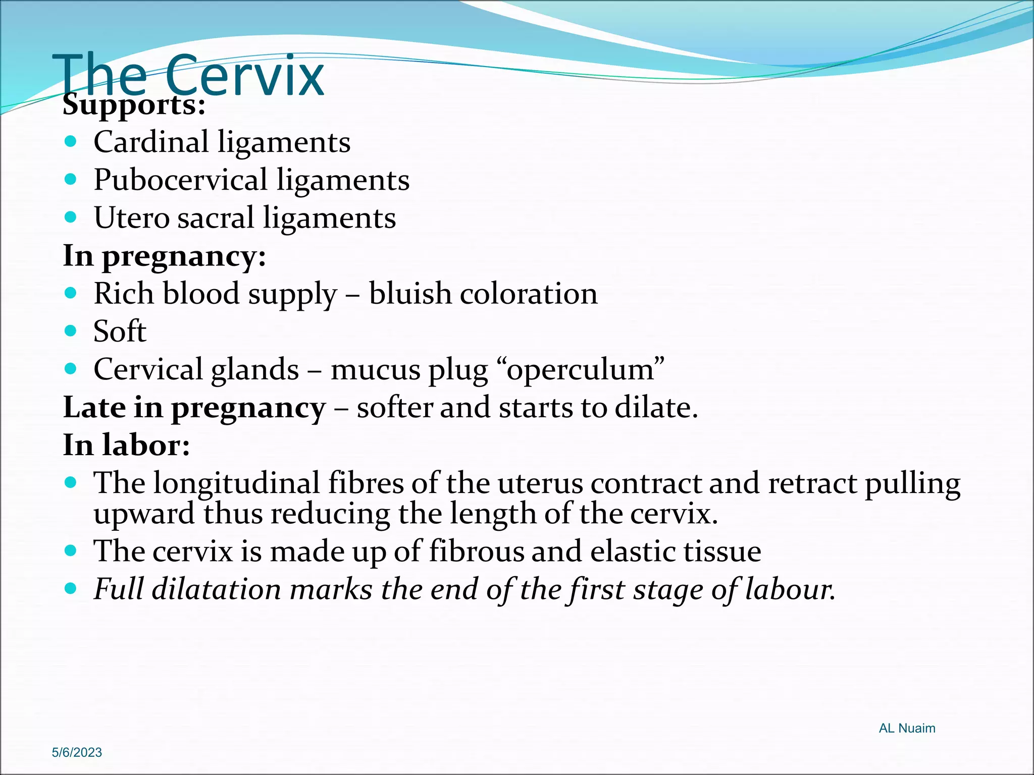 1-Anatomy of the female genital organ (1).ppt