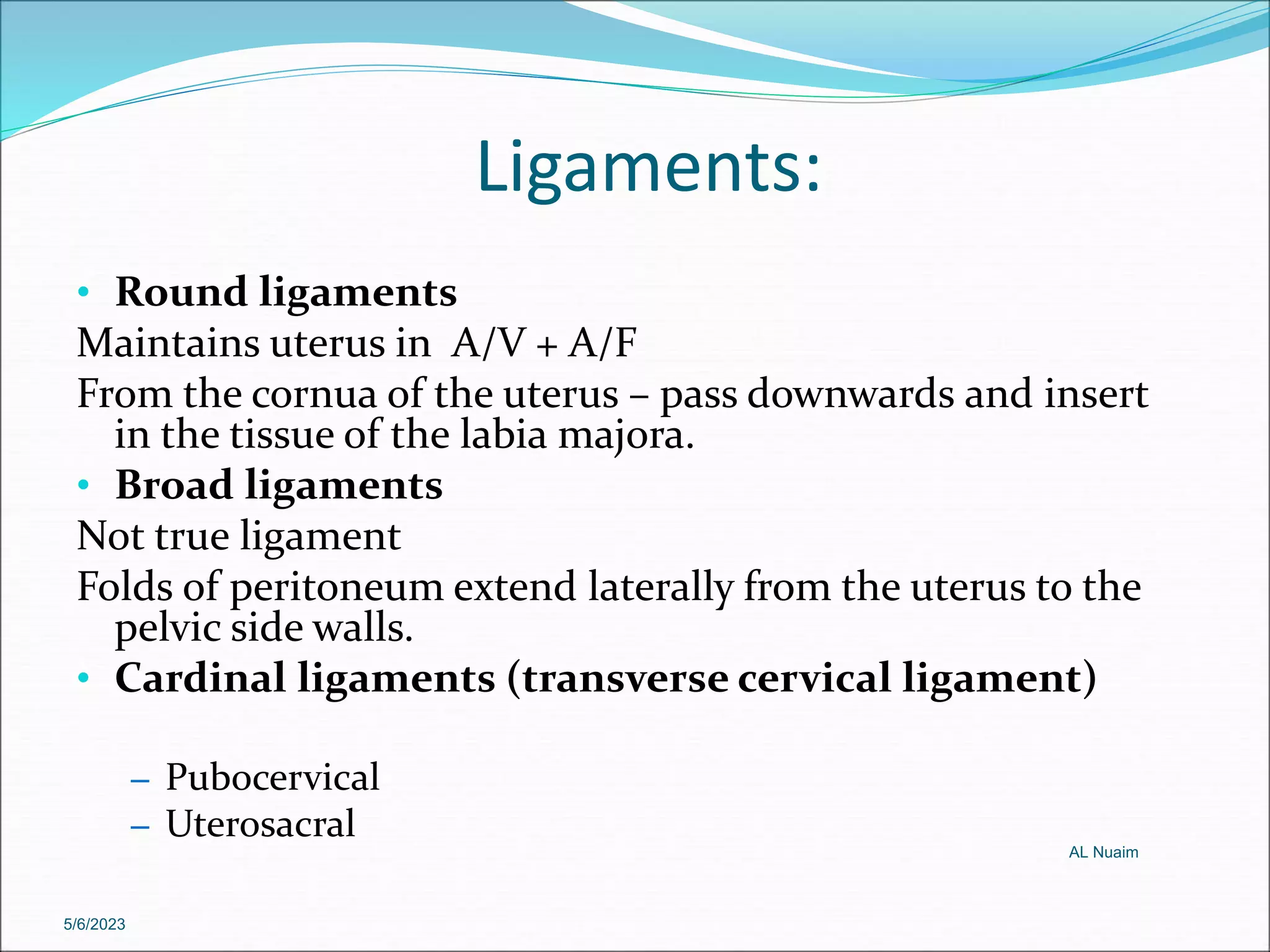 1-Anatomy of the female genital organ (1).ppt