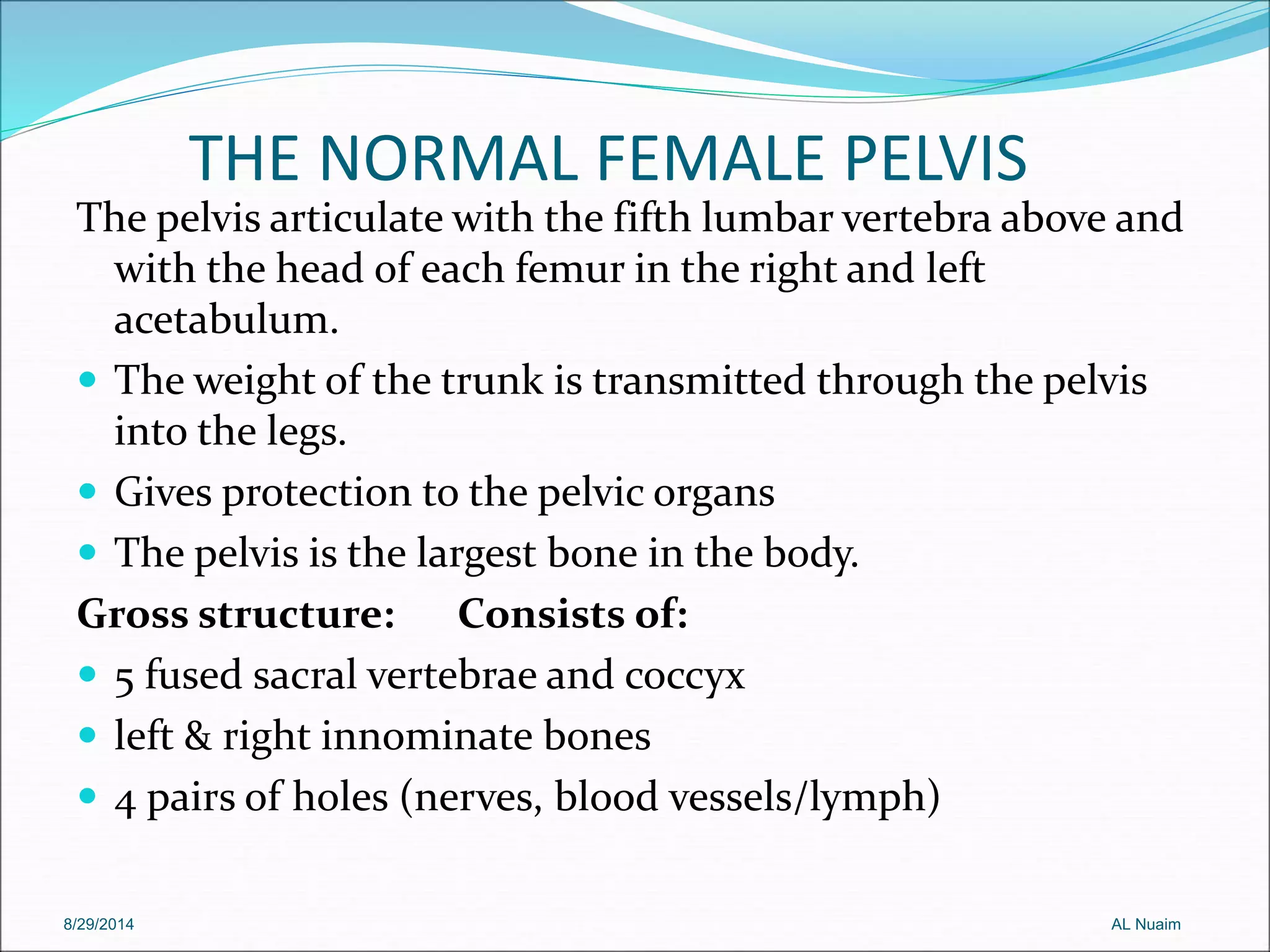 1-Anatomy of the female genital organ (1).ppt
