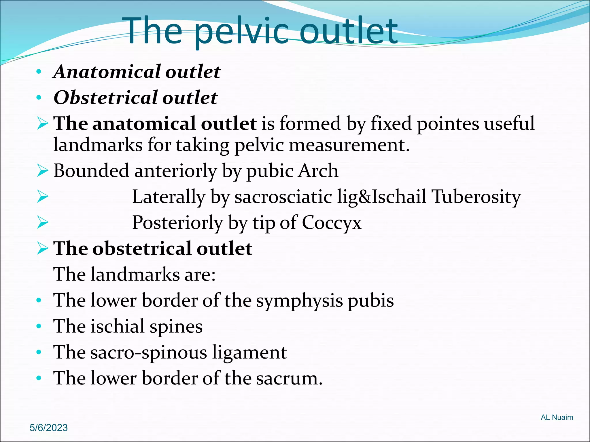 1-Anatomy of the female genital organ (1).ppt