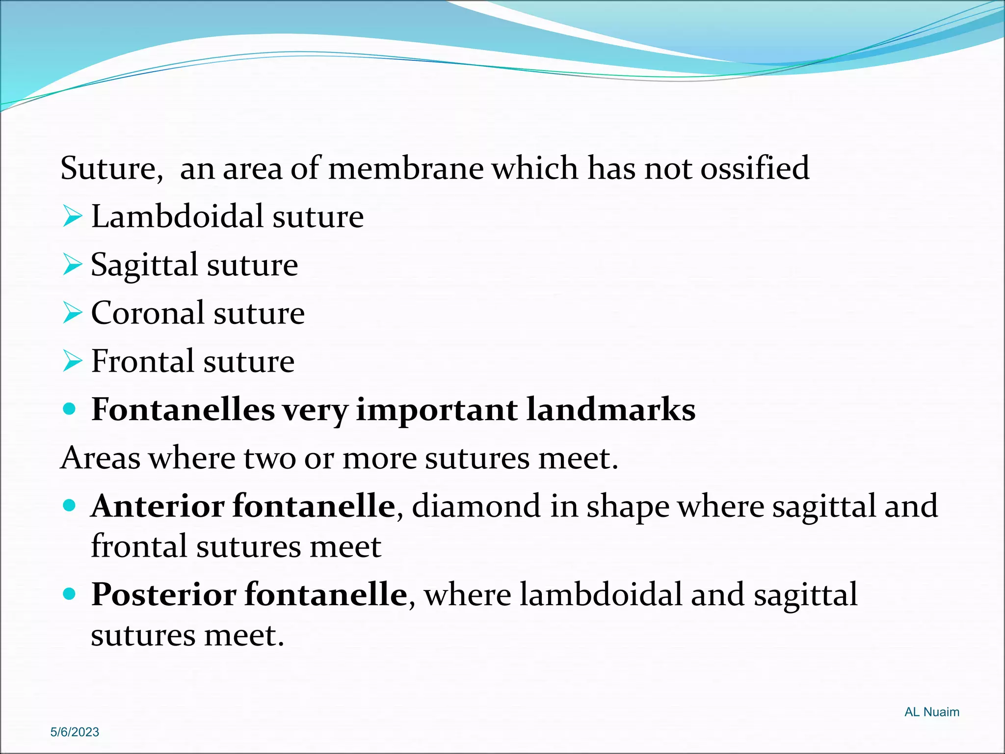 1-Anatomy of the female genital organ (1).ppt