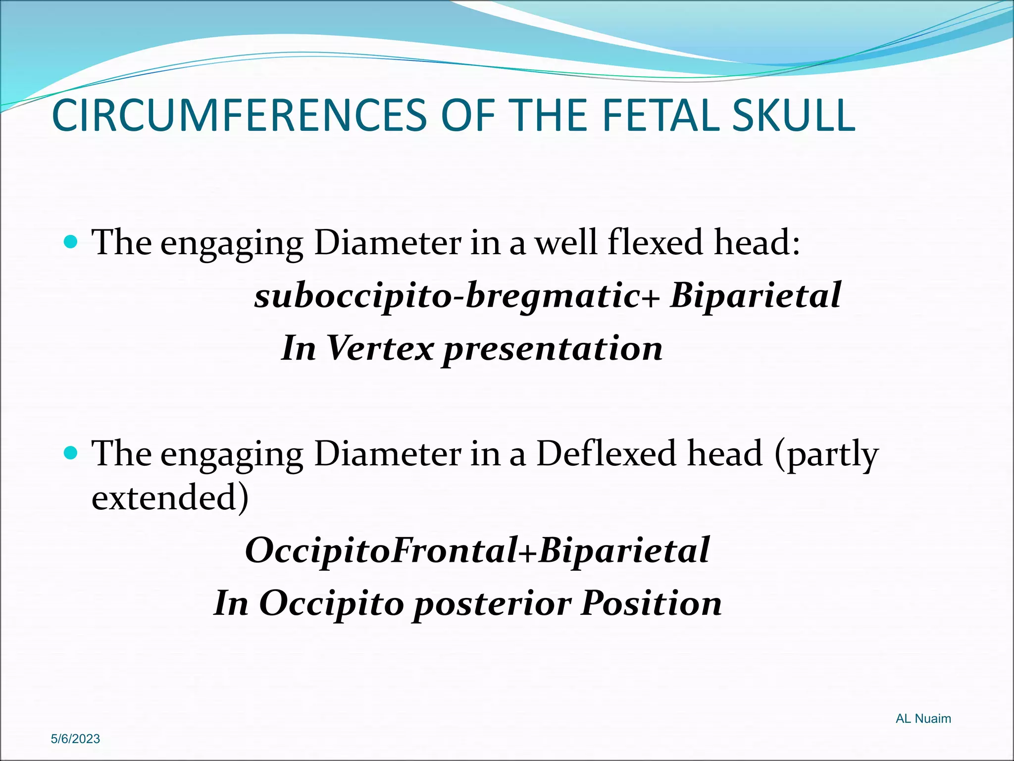 1-Anatomy of the female genital organ (1).ppt