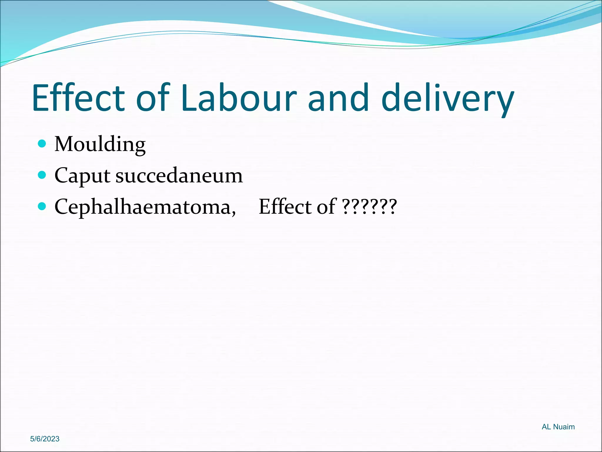 1-Anatomy of the female genital organ (1).ppt