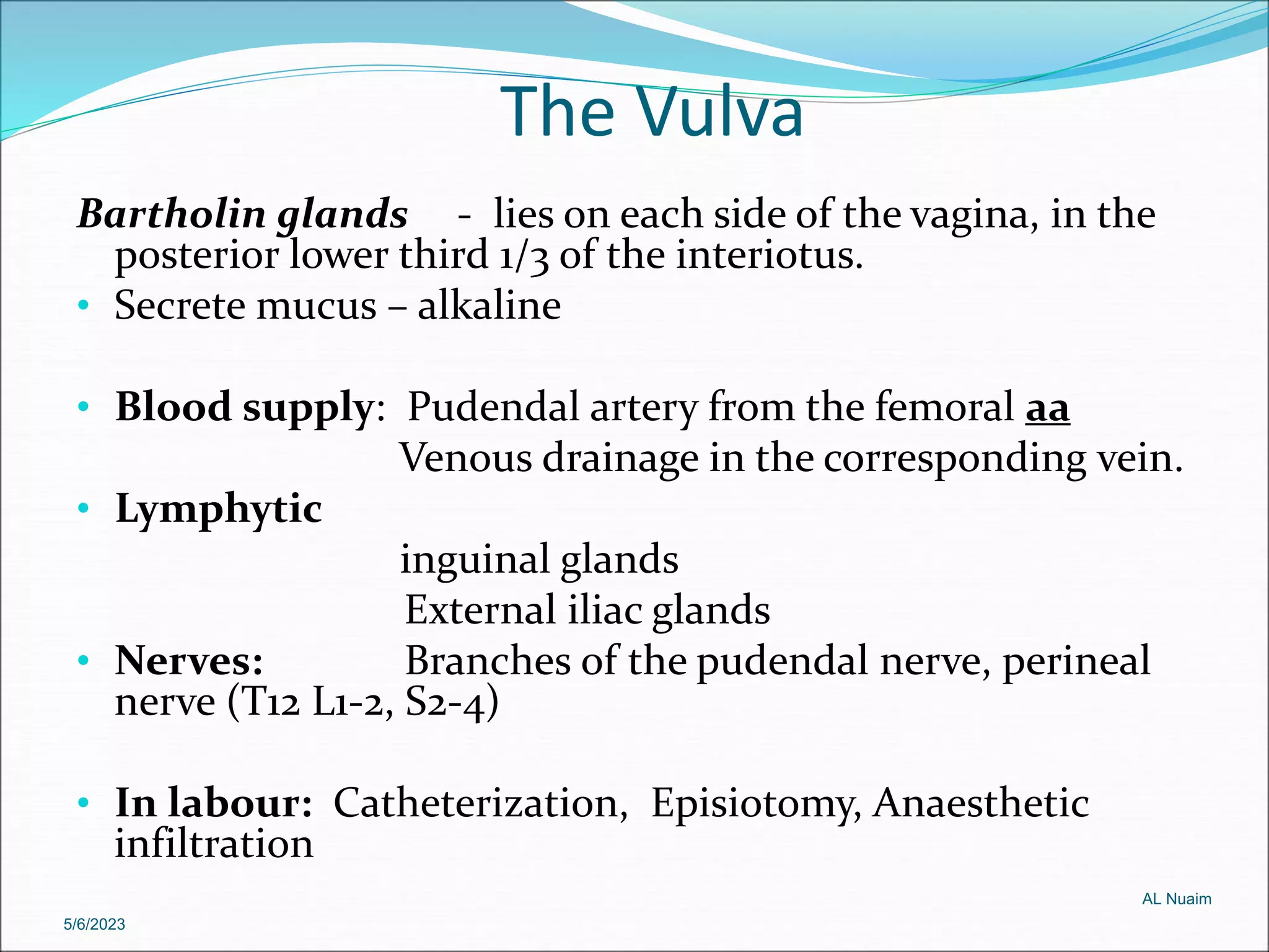 1-Anatomy of the female genital organ (1).ppt