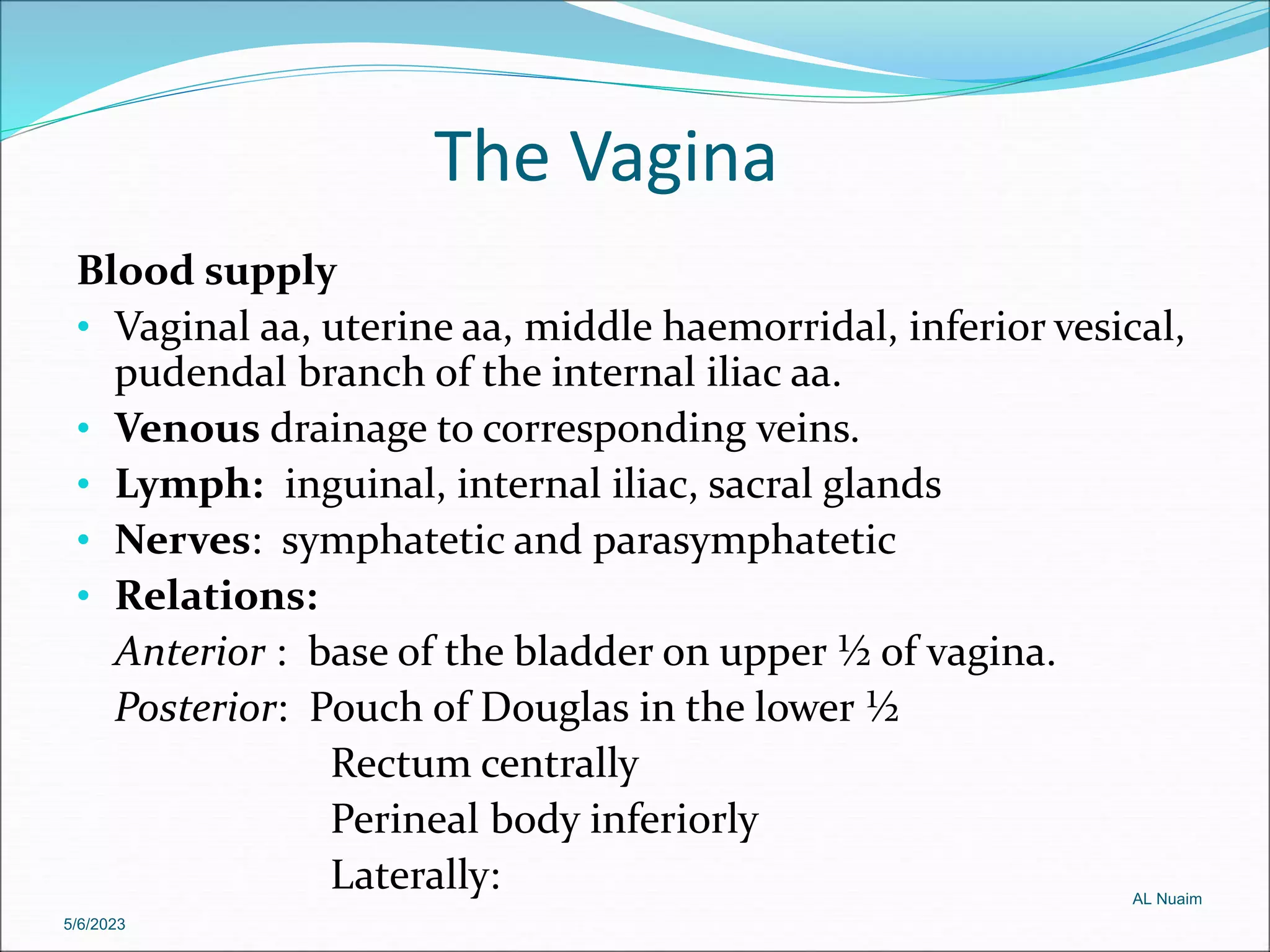 1-Anatomy of the female genital organ (1).ppt