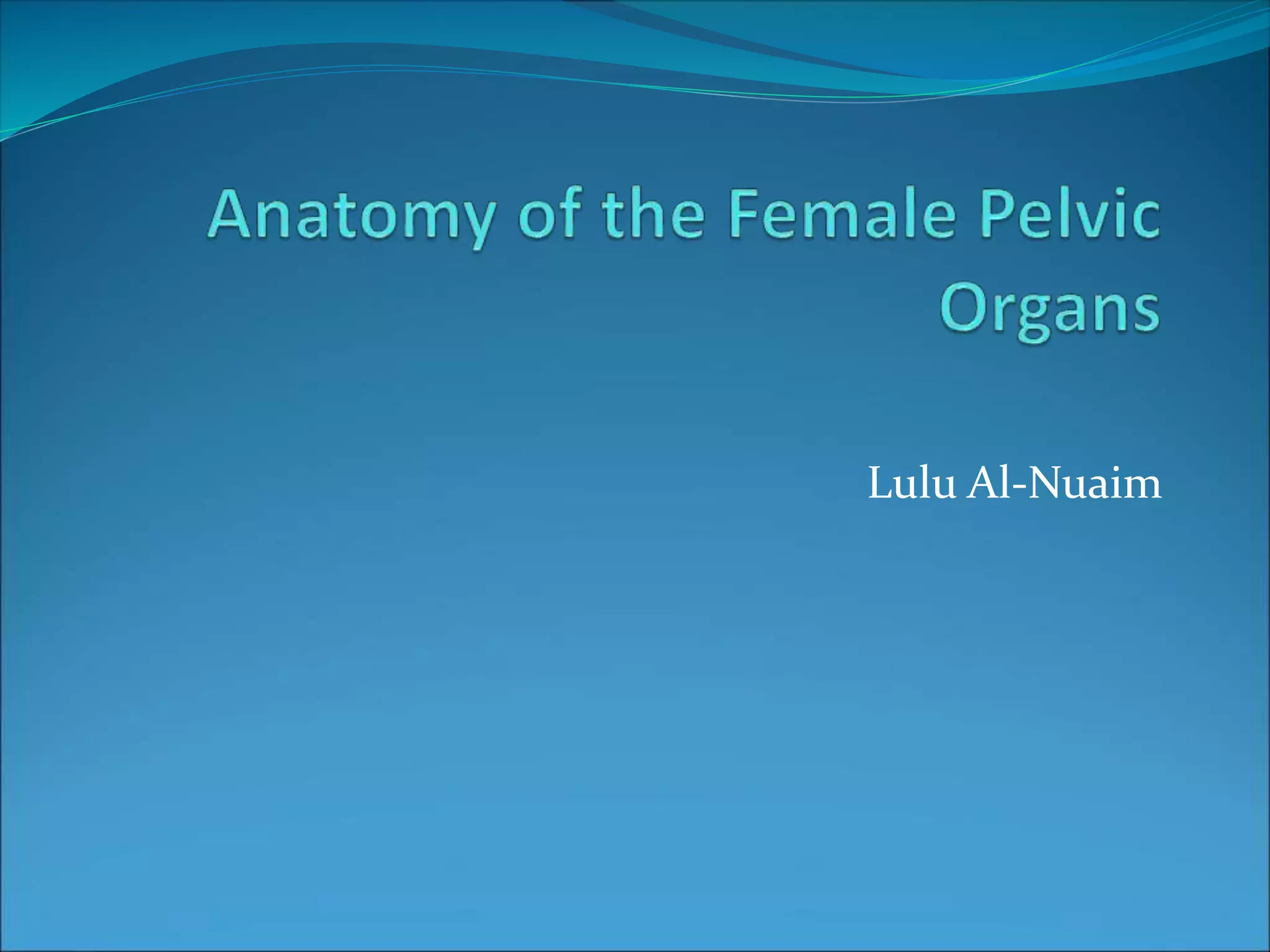1-Anatomy of the female genital organ (1).ppt