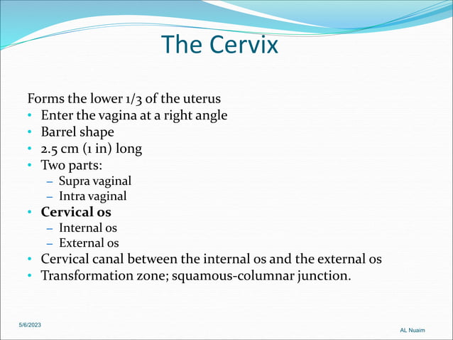 1-Anatomy of the female genital organ (1).ppt