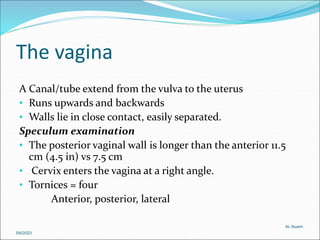 1-Anatomy of the female genital organ (1).ppt
