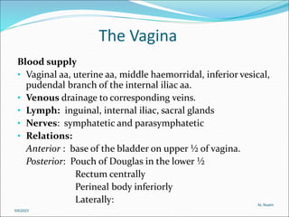 1-Anatomy of the female genital organ (1).ppt