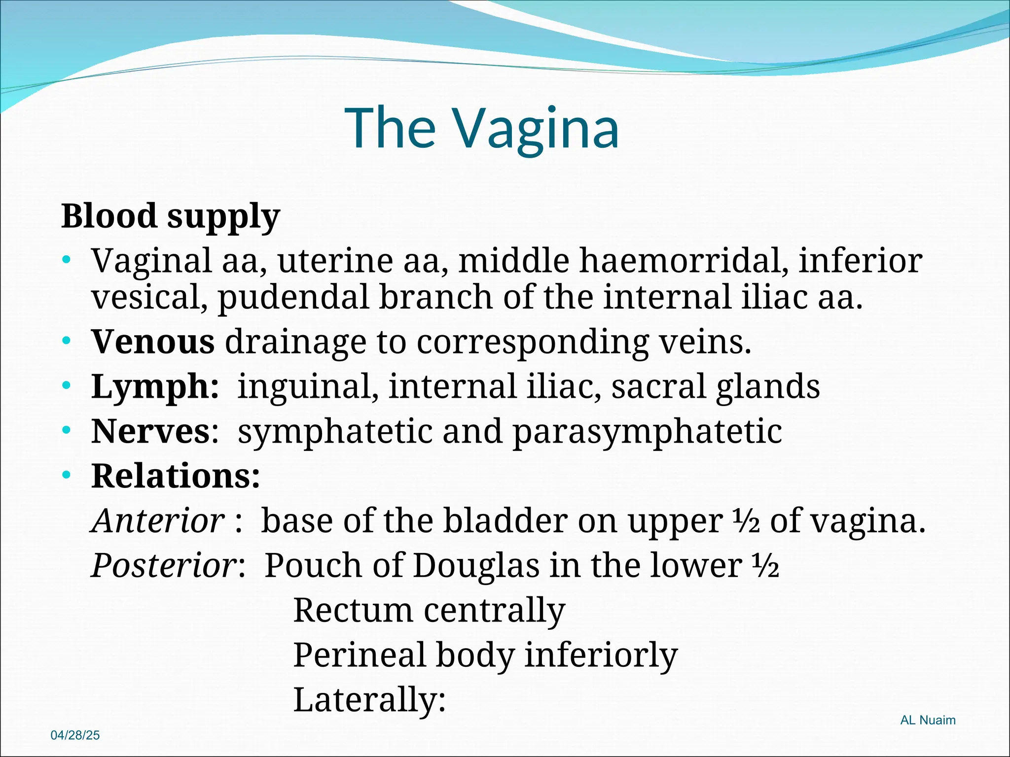 1- Anatomy of the female genital organ[1][2]-2.ppt