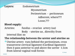 1- Anatomy of the female genital organ[1][2]-2.ppt