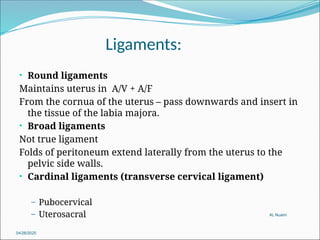 1- Anatomy of the female genital organ[1][2]-2.pptx