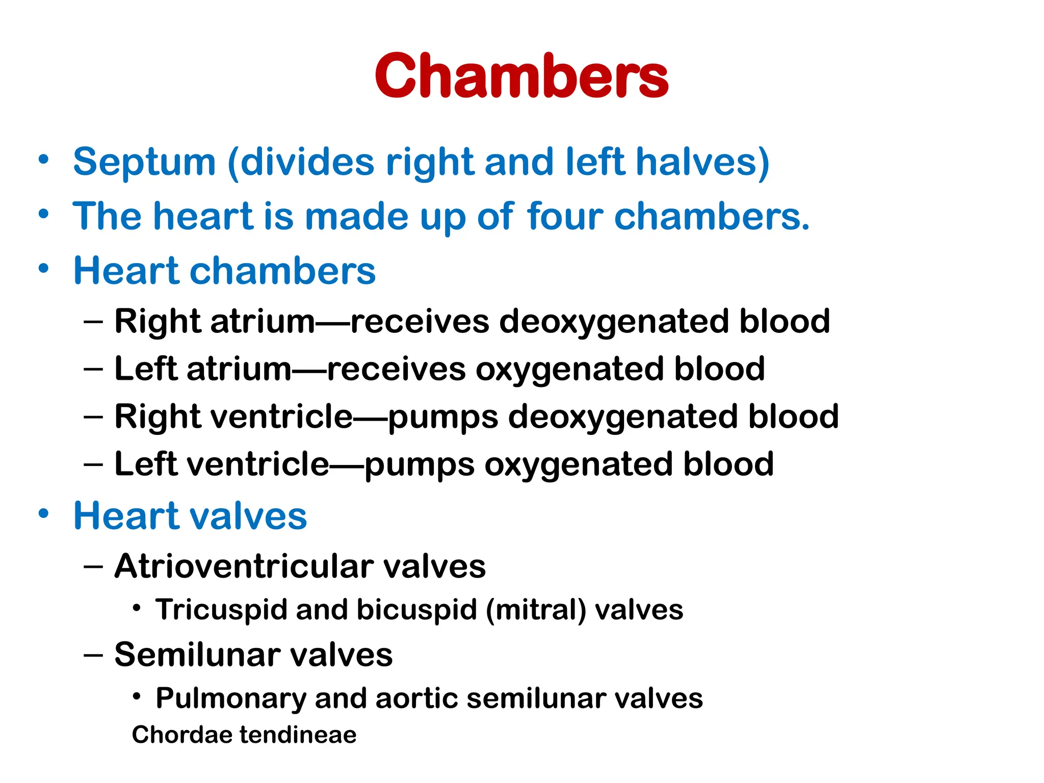 Anatomy and Physiology of cardio vascular system | PPTX