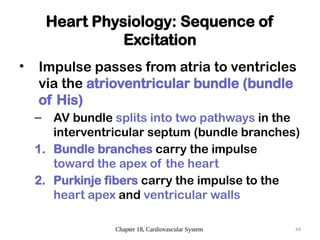 Anatomy and Physiology of cardio vascular system | PPTX