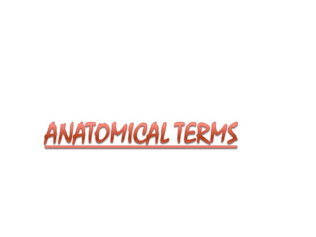 1.ANAT introduction | PPT