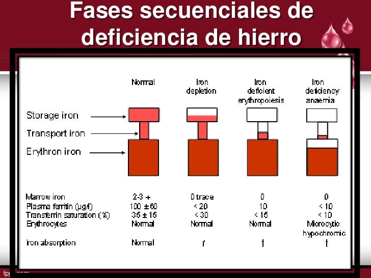 anemia ferropenica