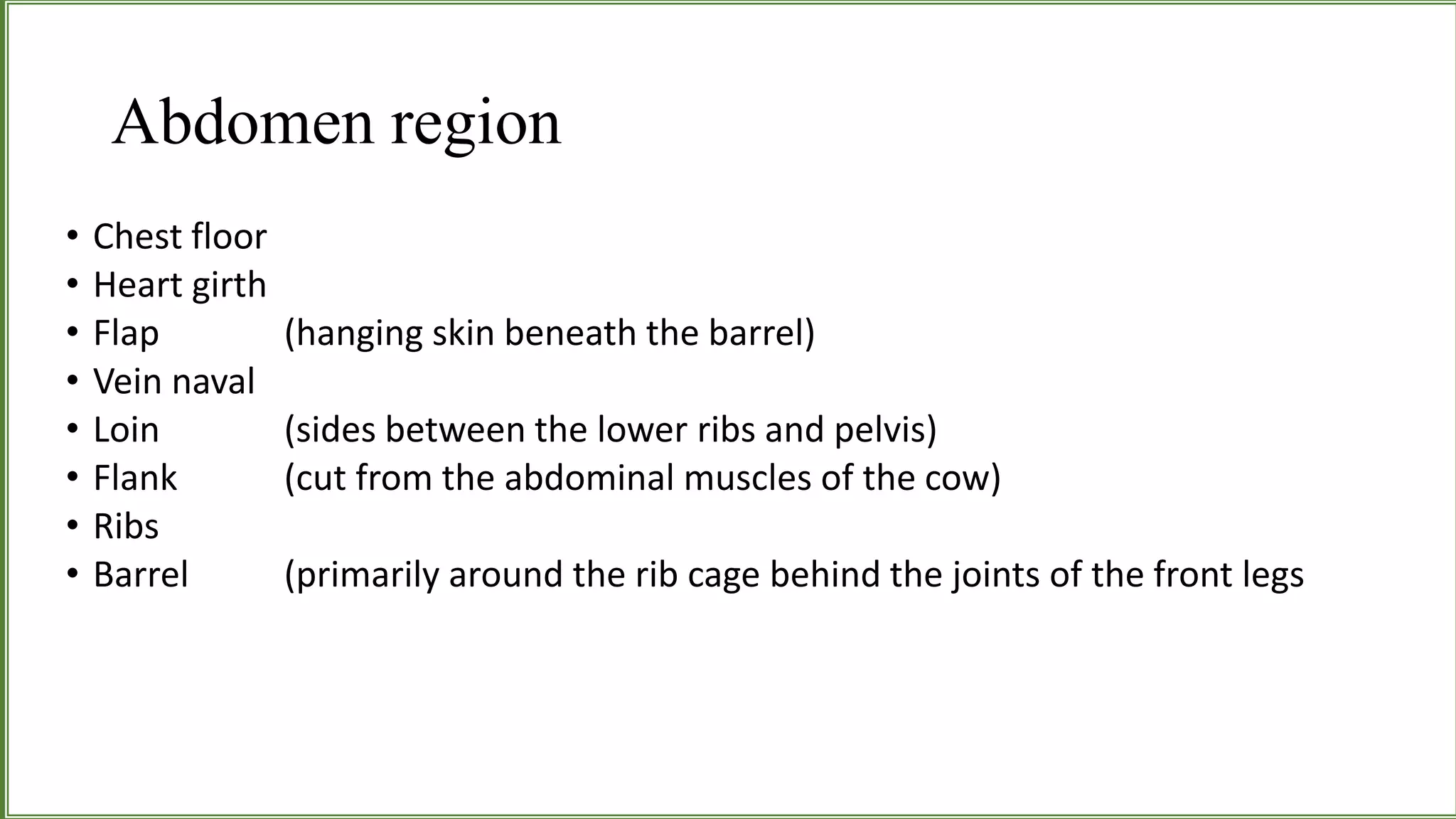 1-Animal external body parts.pptx