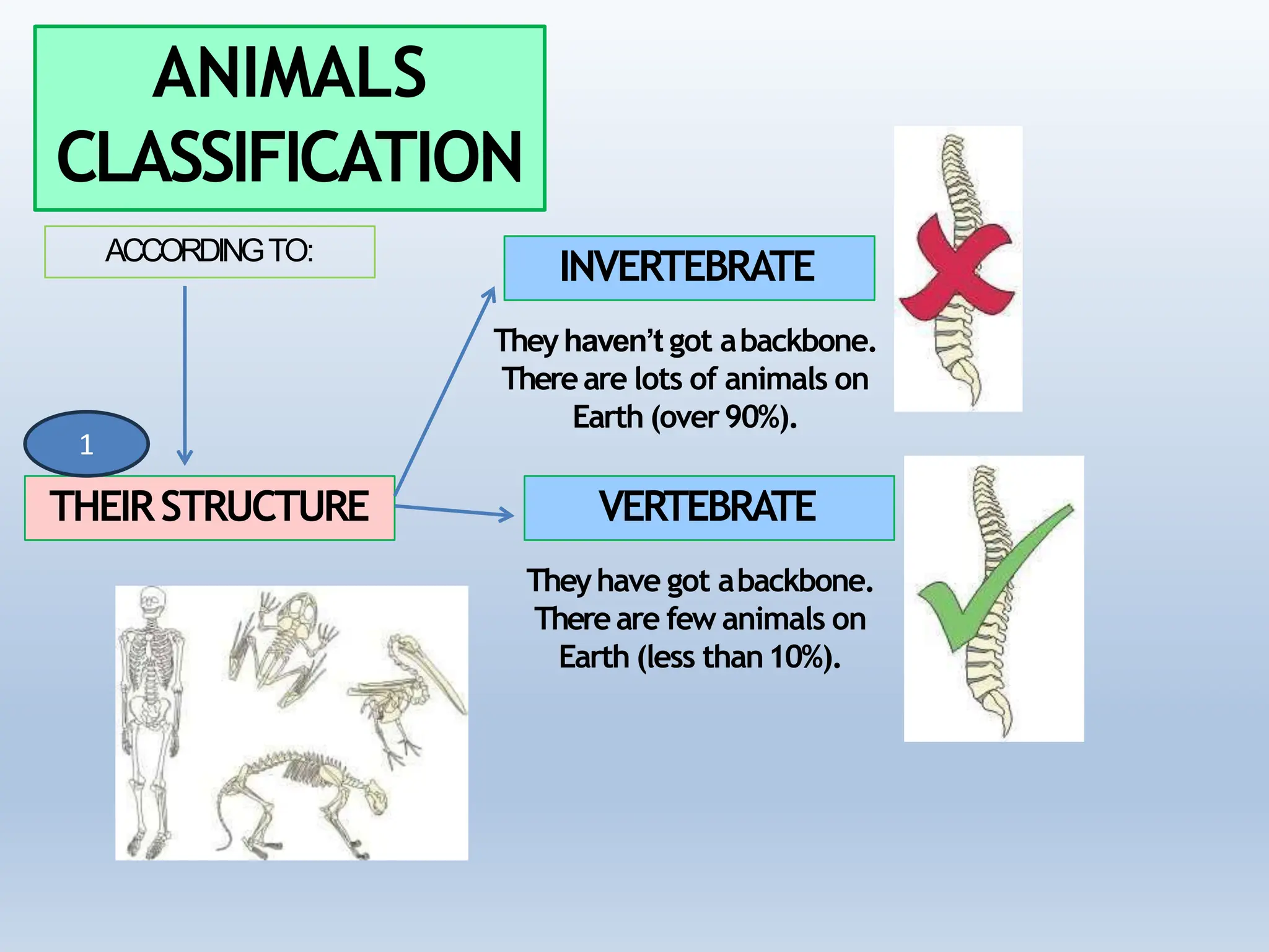 ANIMALS CLASSIFICATION | PPTX | Reptiles | Pets