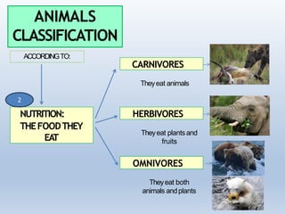 ANIMALS CLASSIFICATION | PPTX | Reptiles | Pets