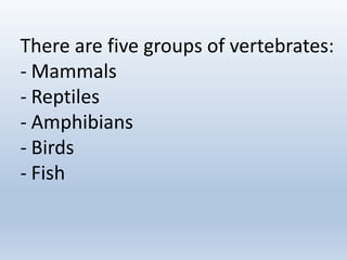 ANIMALS CLASSIFICATION | PPTX | Reptiles | Pets