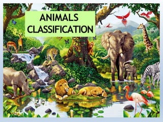 ANIMALS CLASSIFICATION | PPTX | Reptiles | Pets