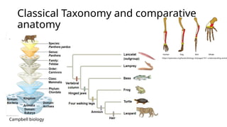 1-Animal taxonomy, evolution and genomics (1).pptx