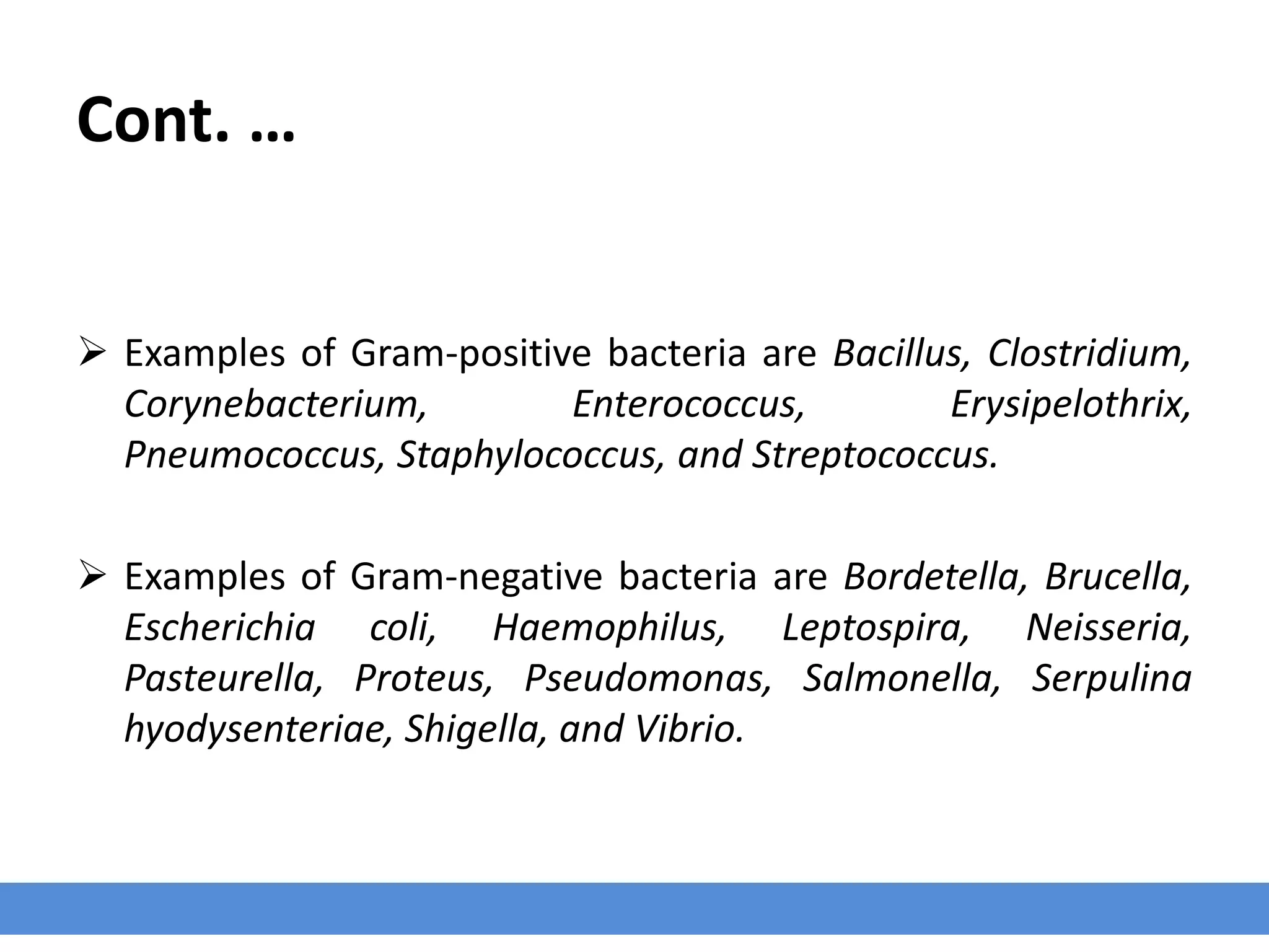 Antibiotics_Understanding_Basics | PPTX