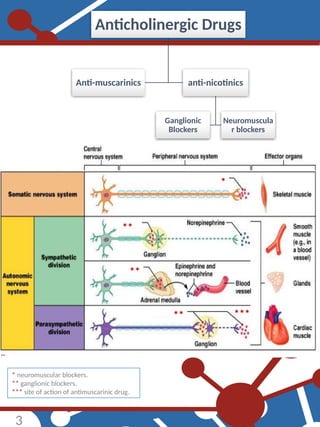 1-Anticholinergic drugs (1).pptxfhddfjmnnkjjjkjjbv | PPTX