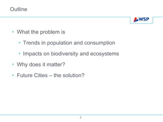 A planet and its people under pressure: why cities matter | PPTX