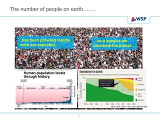 A planet and its people under pressure: why cities matter | PPTX