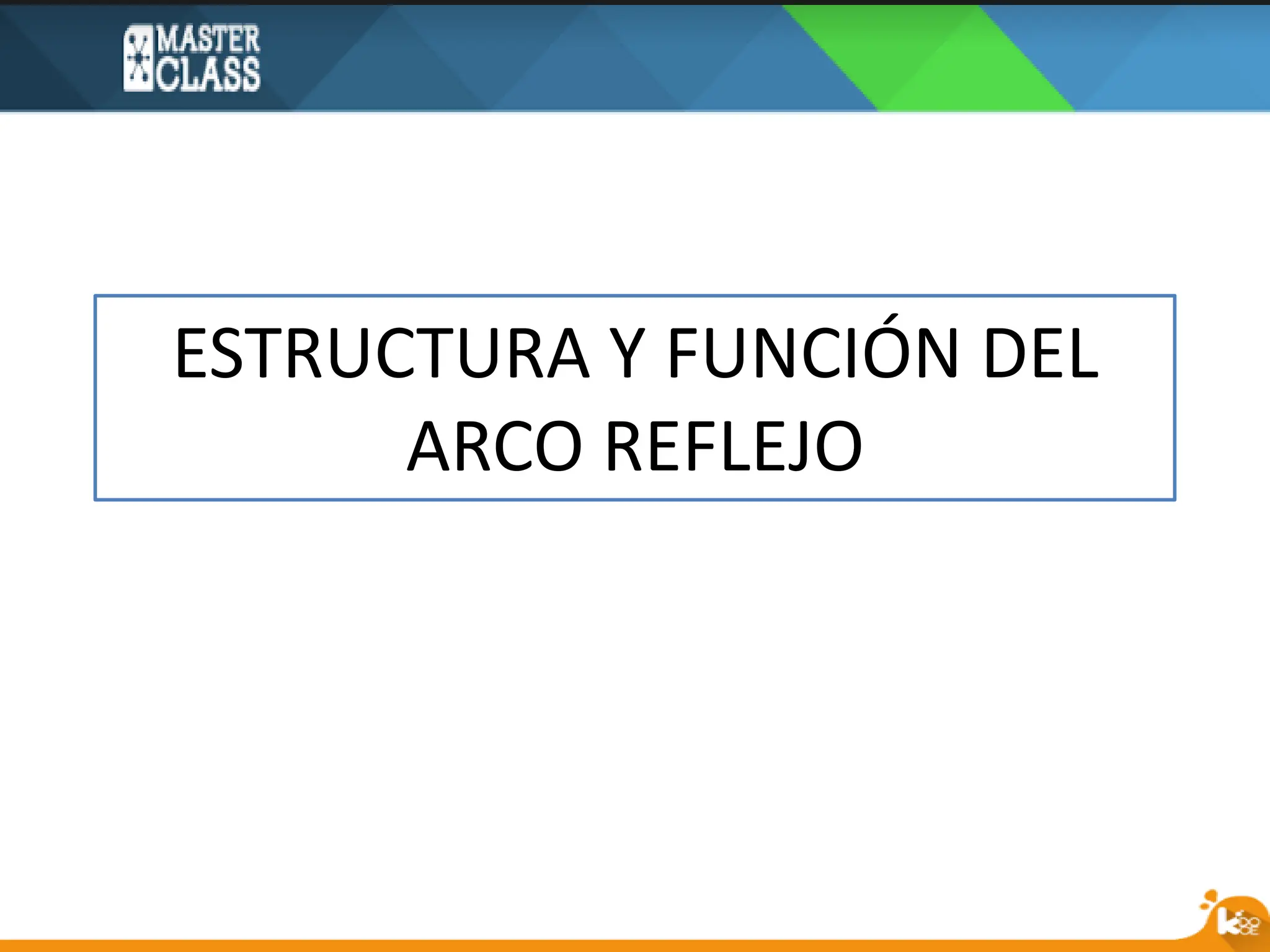 1-Arco-reflejo y estructura y función.pdf