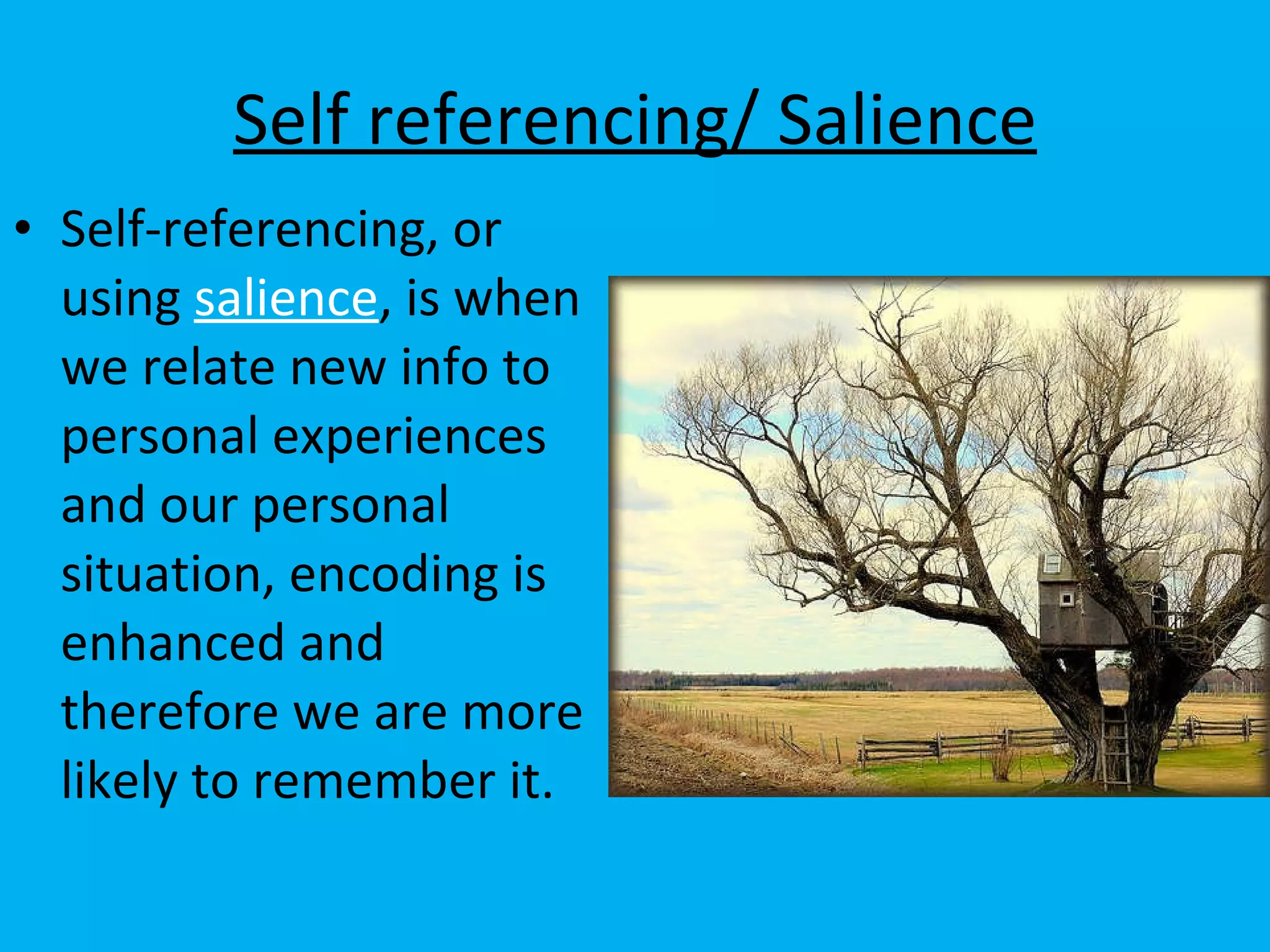 1 Atkinson Shiffrin Model Of Memory Ppt