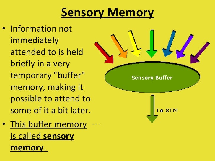 1 Atkinson Shiffrin Model Of Memory 1 Atkinson Shiffrin Model Of Memory