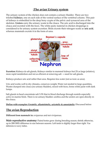 Avian biology ---- Dr Fares El-Khayat | DOC