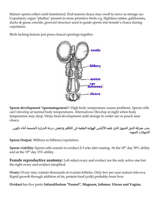 Avian biology ---- Dr Fares El-Khayat | DOC