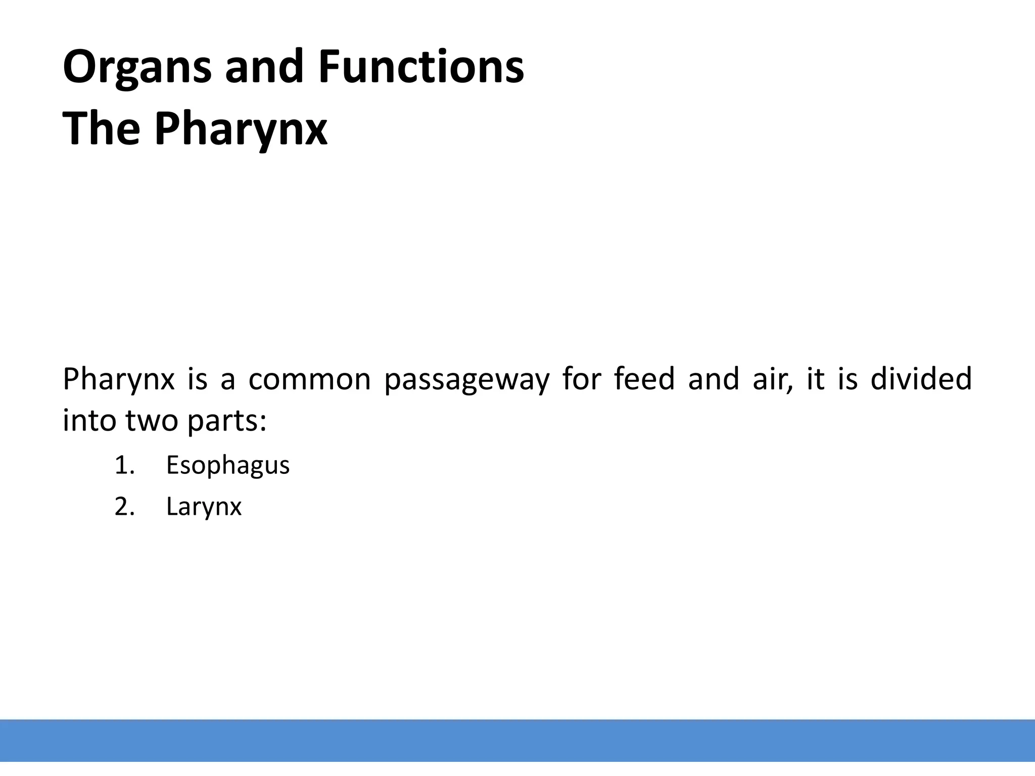 Avian Digestive System | PPTX | Digestive Disorders | Diseases and ...
