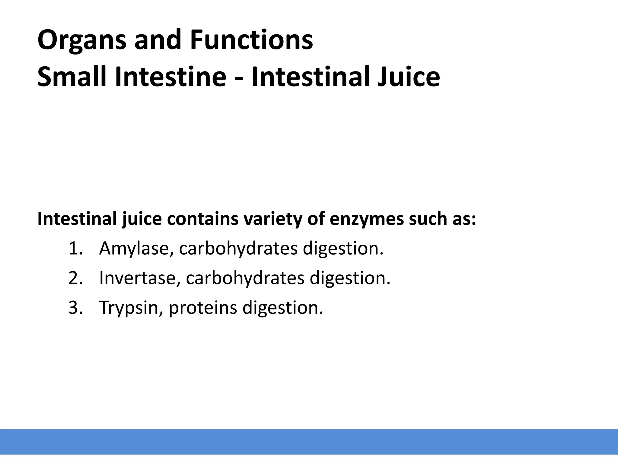Avian Digestive System | PPTX