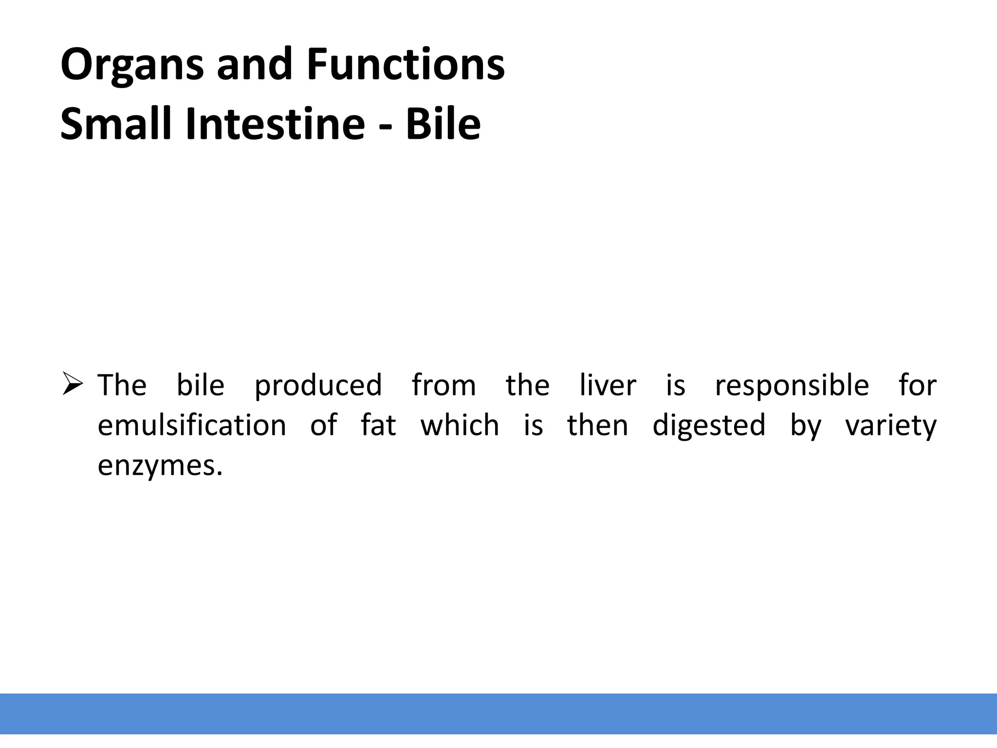 Avian Digestive System | PPTX