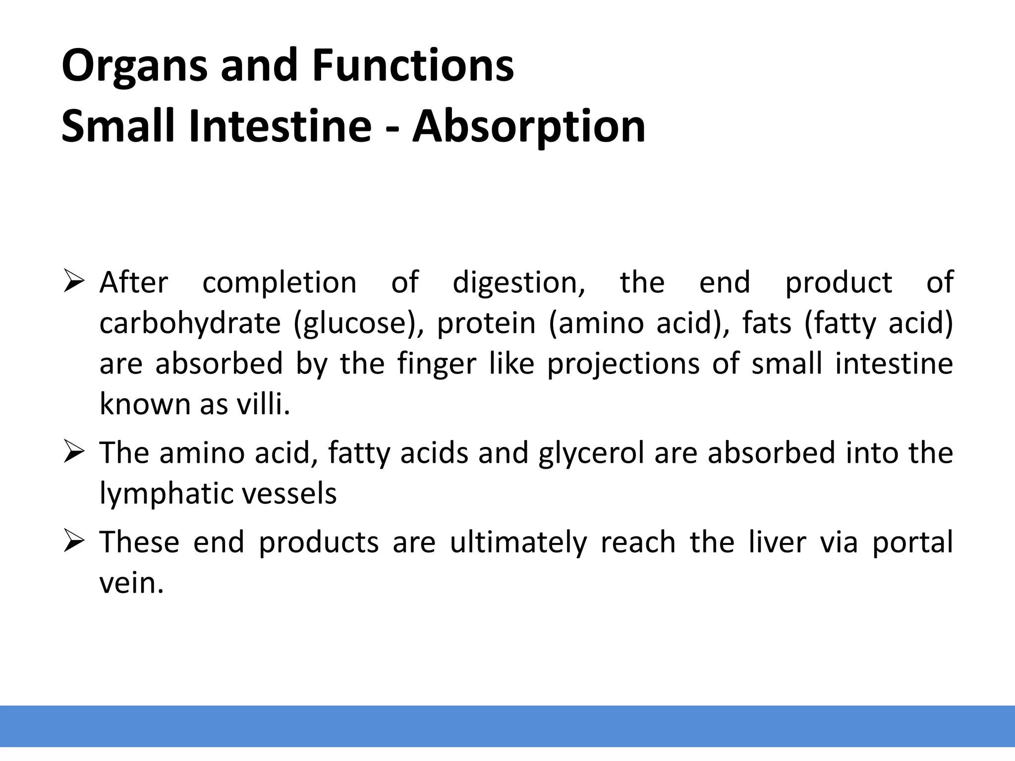 Avian Digestive System | PPTX