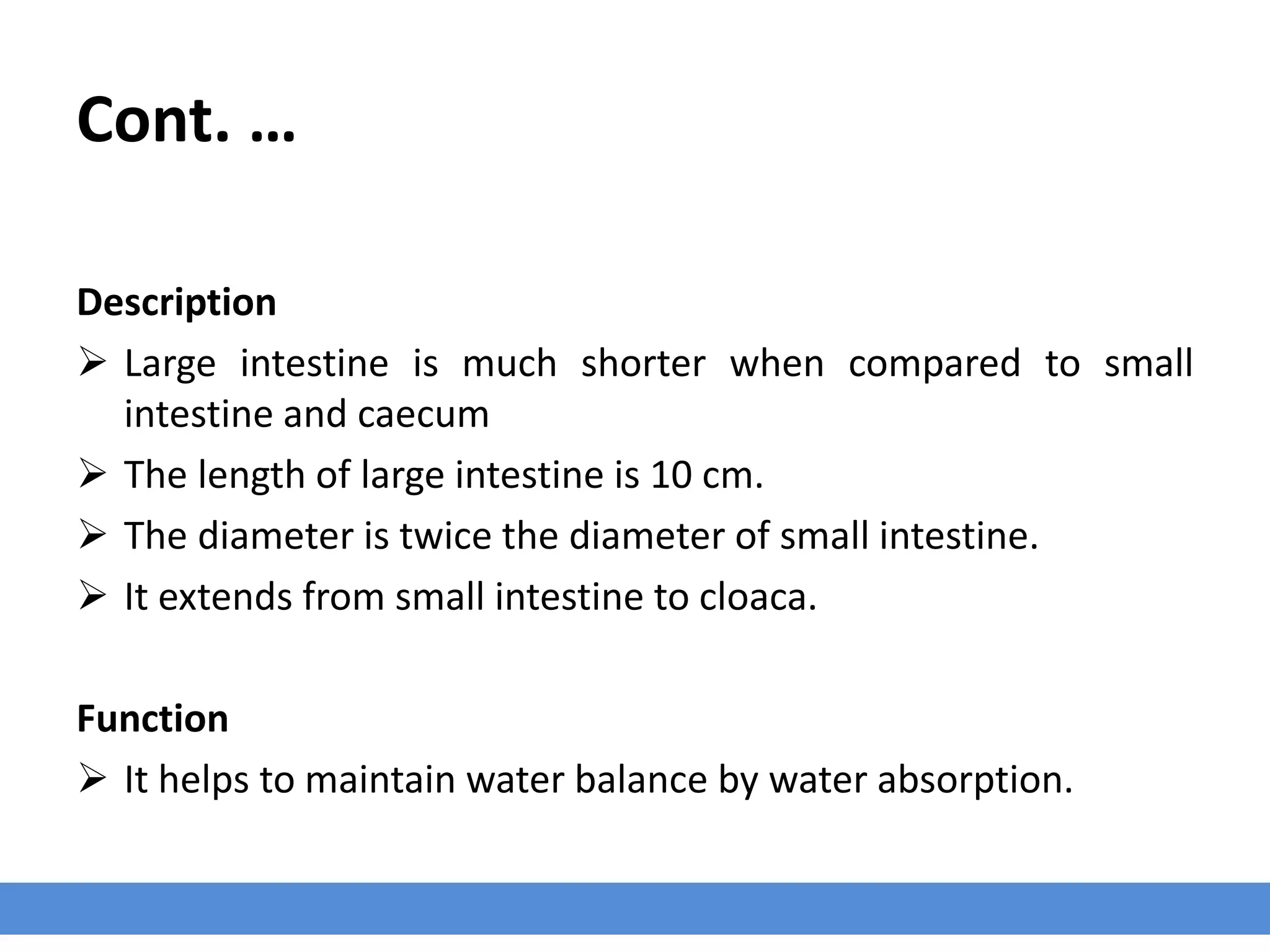 Avian Digestive System | PPTX