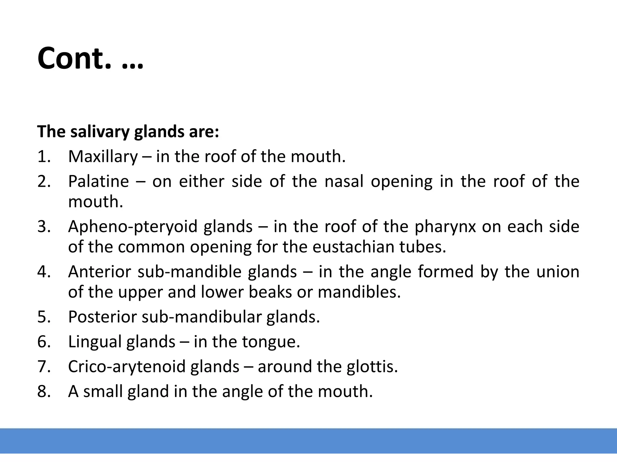 Avian Digestive System | PPTX