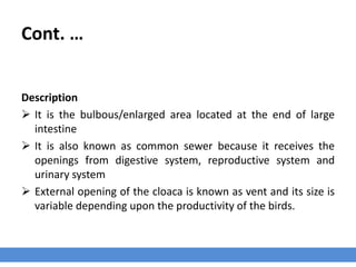 Avian Digestive System | PPTX