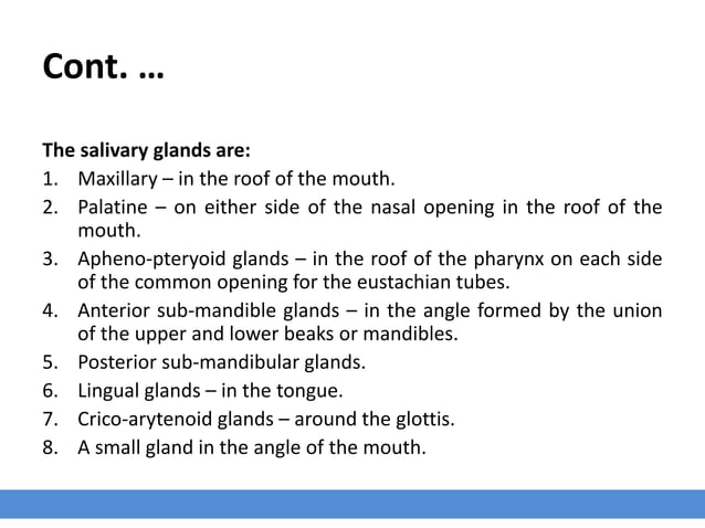 Avian Digestive System | PPTX | Digestive Disorders | Diseases and ...