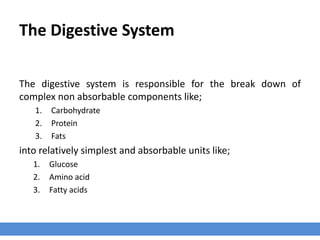 Avian Digestive System | PPTX