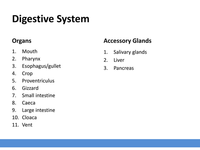Avian Digestive System | PPTX | Digestive Disorders | Diseases and ...