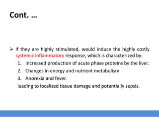 Avian immune system | PDF