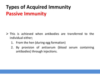 Avian immune system | PDF