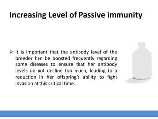 Avian immune system | PDF