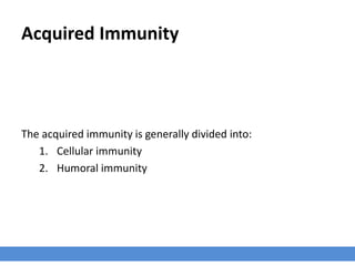 Avian immune system | PDF