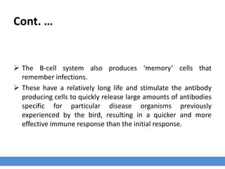 Avian immune system | PDF